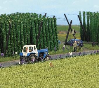 Busch Barley Field