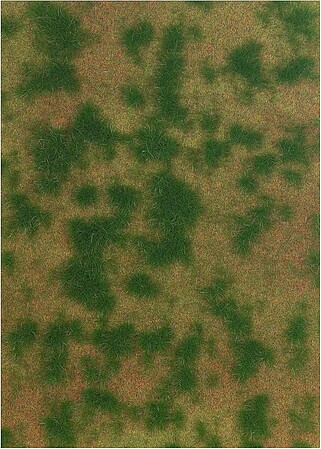 Busch Heathland Grass