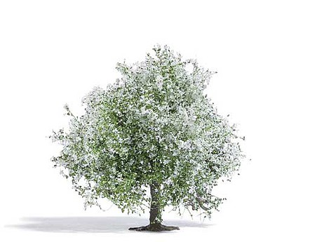 Busch Apple Tree in Blssom 75mm