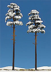 Busch Snow Covered Trees 2/ - HO-Scale (2) #6156