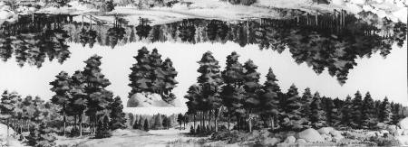 Detail-Assoc Background Rail Scene Forest - HO-Scale #7511