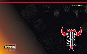 In Stock Stella Model Ams Imx Plastic Models