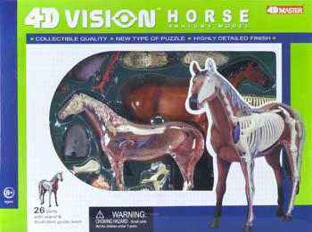 4D-Vision Visible Horse Anatomy Kit #26101