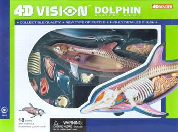 4D-Vision Visible Dolphin Anatomy Kit #26103