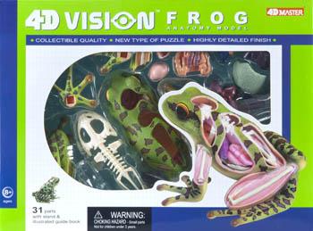 4D-Vision Visible Frog Anatomy Kit