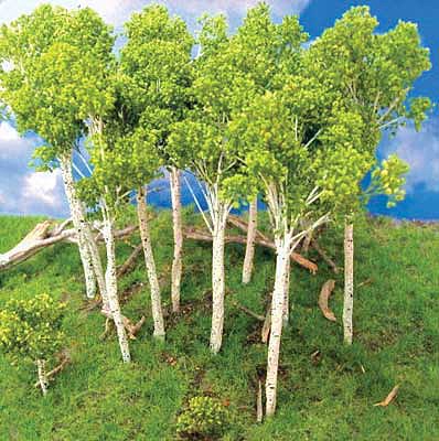 Grand-Central Small Aspen Trees 2'' - 3'' (7)