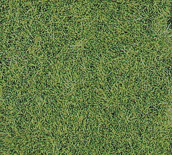 Heki Wild Grass Mat Meadow Green 15-3/4 x 9-7/16'' 40 x 24cm pkg(2) #1870