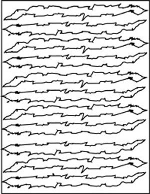 Parma Tiger Rips Paint Mask #10809