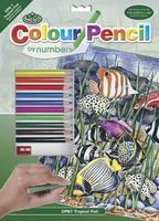Pencil By Number Kits