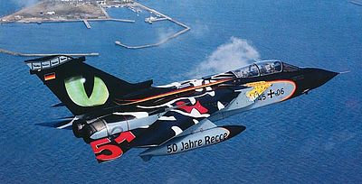 Revell-Germany Tornado Tiger Meet Eye of the Tiger Aircraft Plastic ...