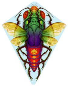 Spectra-Kites FLYIN' BUGZZZ THE FLY #21004