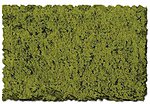 Scenic-Expr Scenic Foams & Ground Textures Coarse Sage Green Model ...