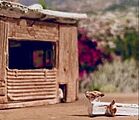 Woodland Chicken Coop HO Scale Model Railroad Building #d215