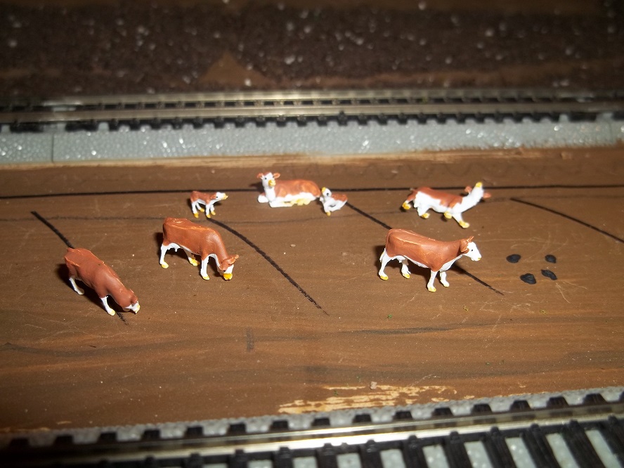 Hereford Cows -- N Scale Model Railroad Figure -- #a2144 pictures by ...