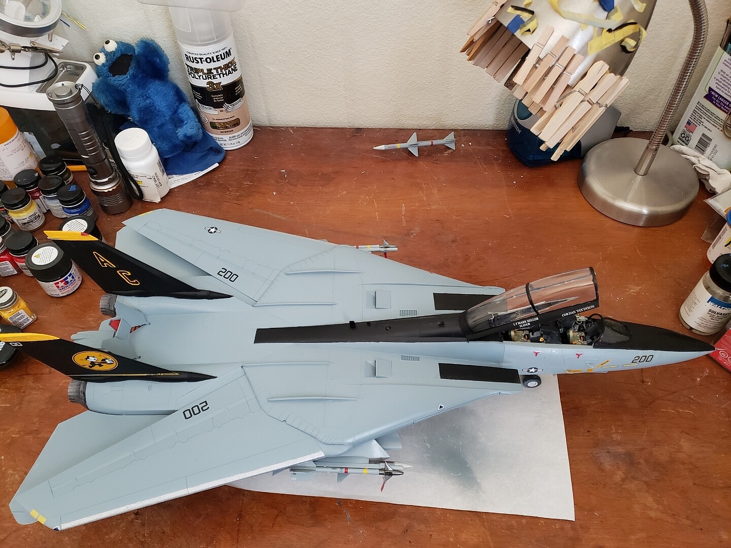 Grumman F-14A Tomcat Black Knight Jet Aircraft Pictures