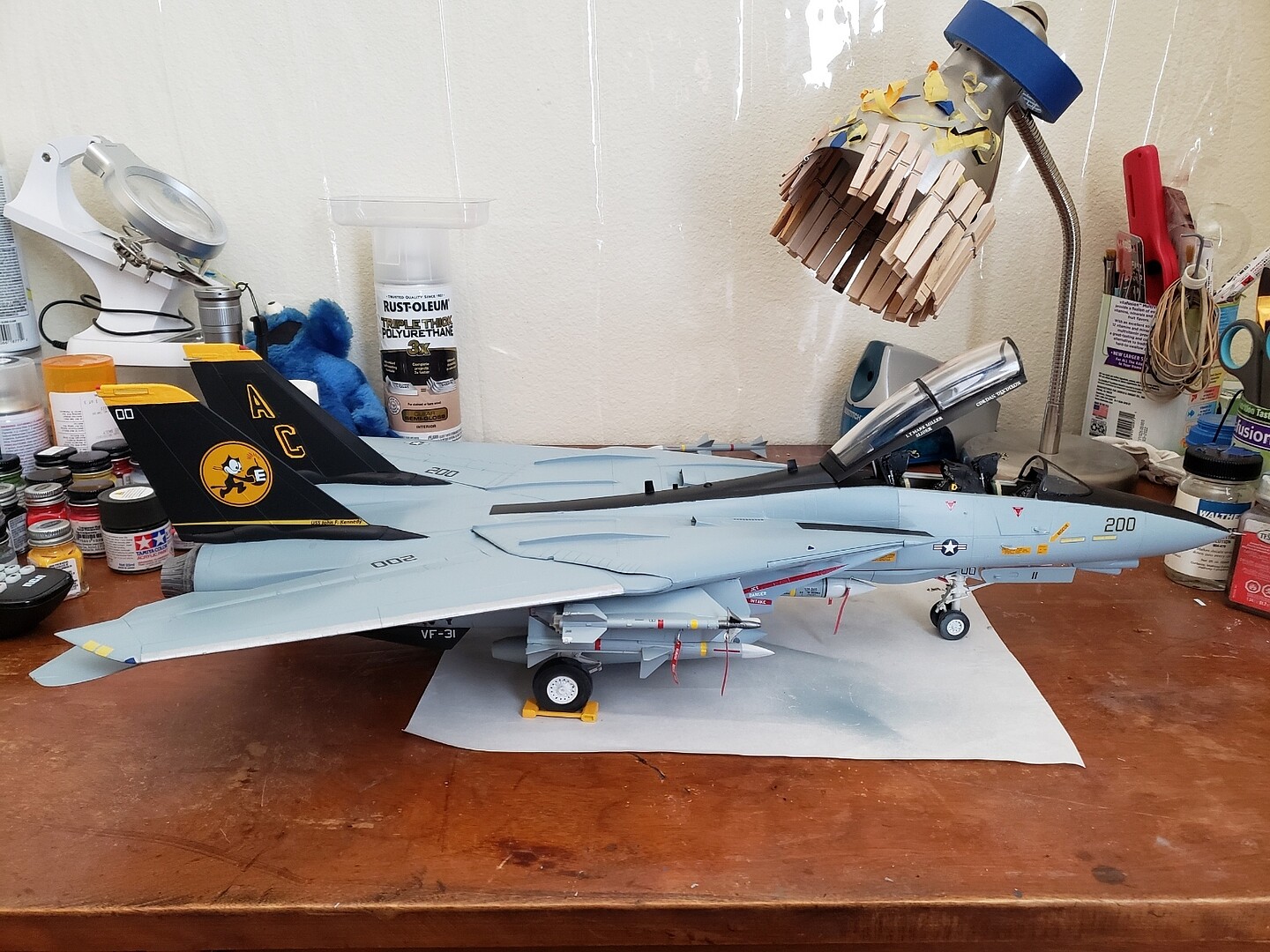 Grumman F-14A Tomcat Black Knight Jet Aircraft Pictures