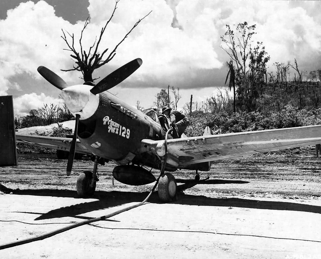 P-40M Kitty Hawk Fighter Pictures