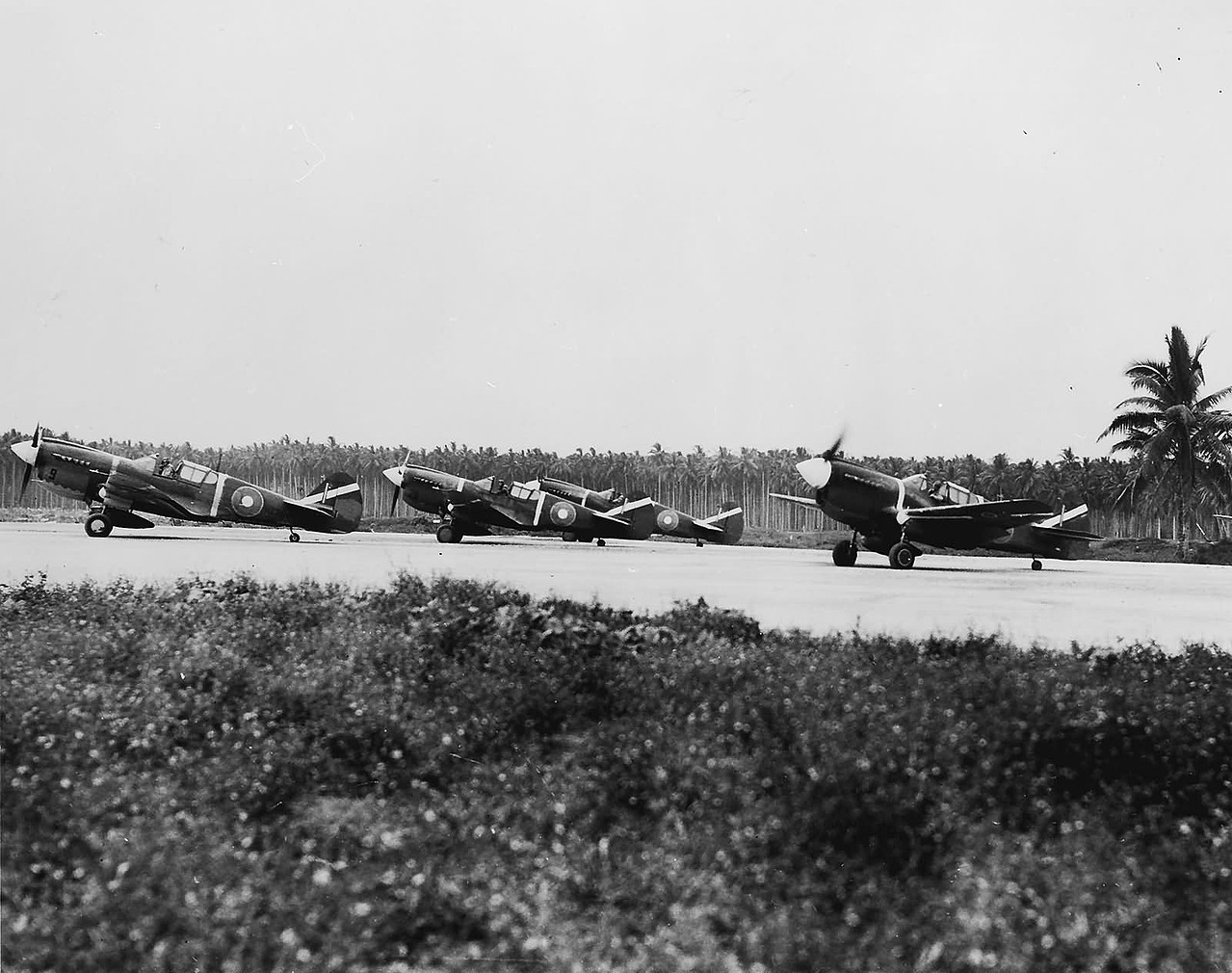 P-40M Kitty Hawk Fighter Pictures