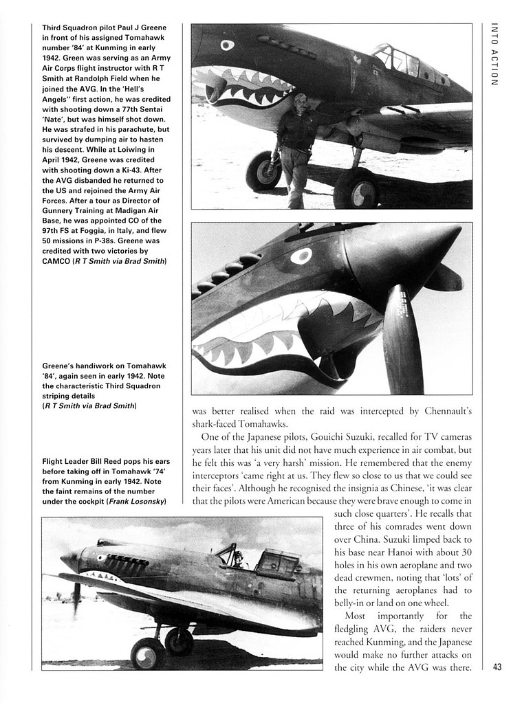 American Volunteers Group Colors and Markings -- Military History Book ...