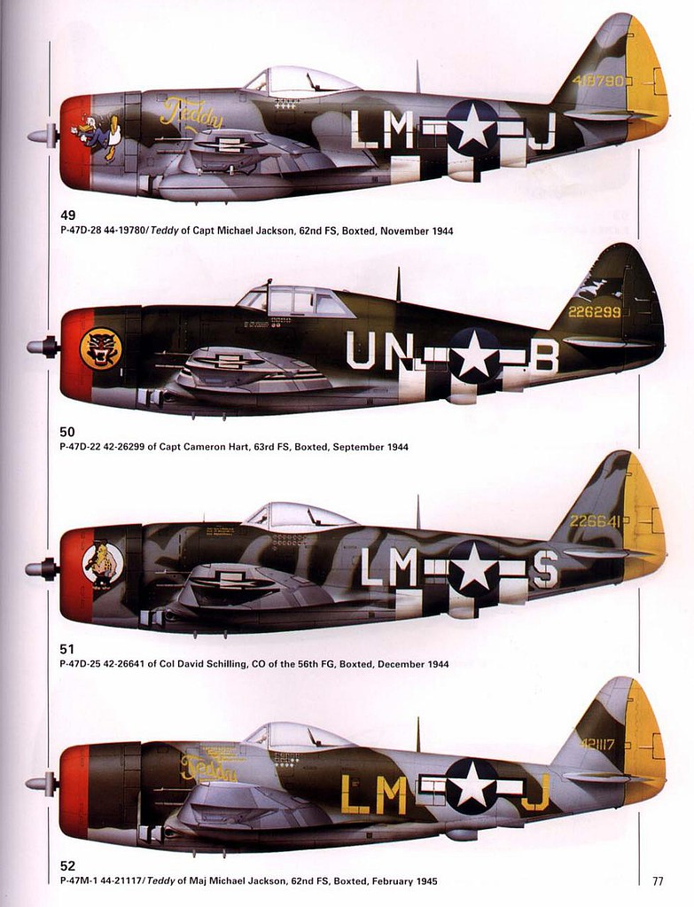 56th Fighter Group -- Military History Book -- #aeu2 pictures by hhpodesta