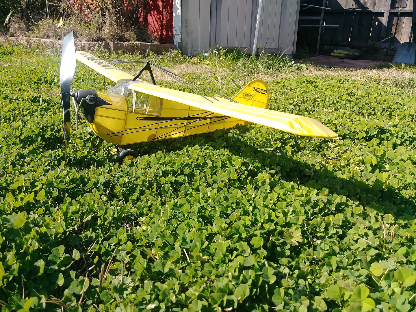 AERONCA C-3 MASTER 30' pictures by AUGGI_D_DOGGI1955