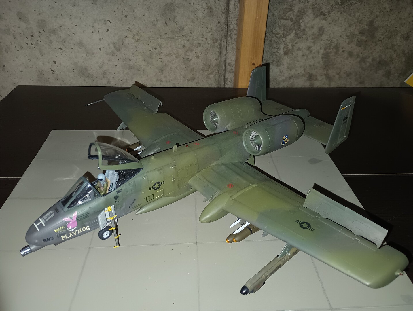 A-10 Warthog -- Plastic Model Airplane Kit -- 1/48 Scale -- #855521 ...