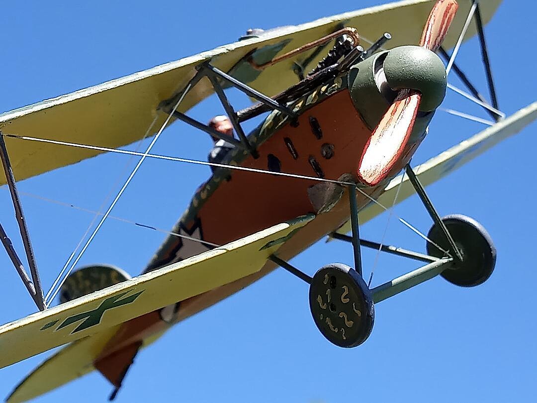 Albatros D.III EOFFAG S.53 -- Plastic Model Airplane Kit -- 1/72 Scale ...