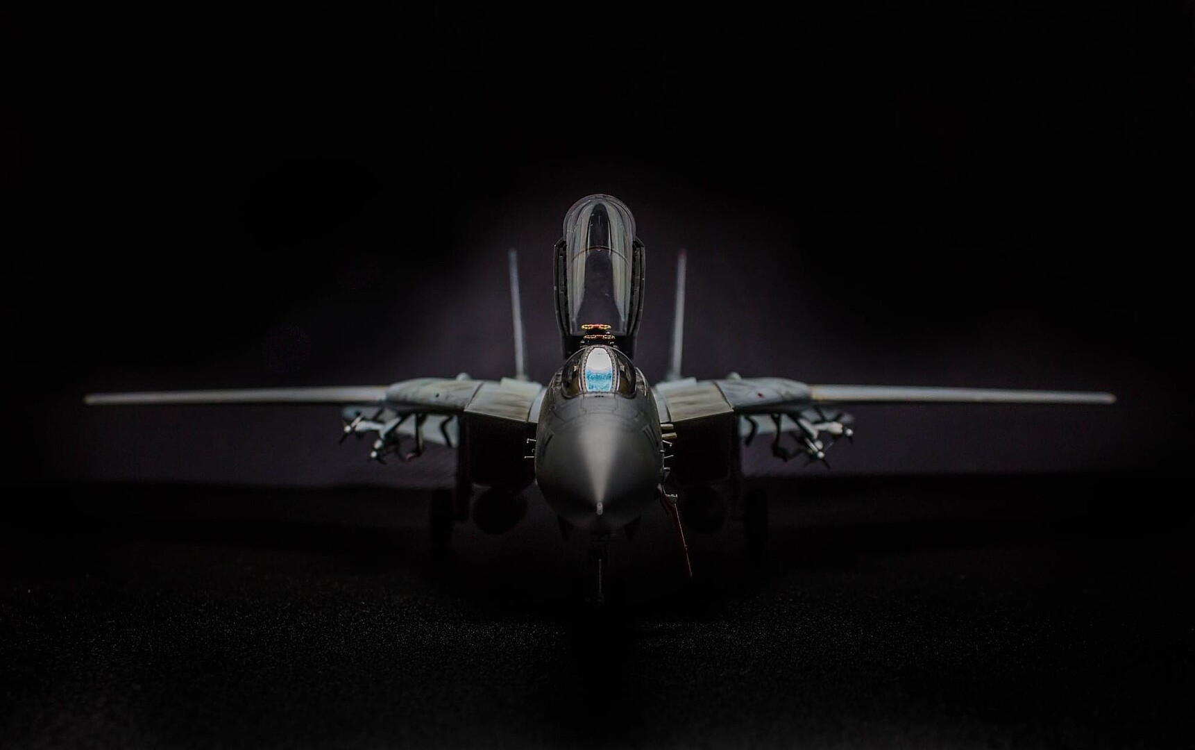 Grumman F-14A Tomcat -- Plastic Model Military Vehicle Kit -- 1/48 ...