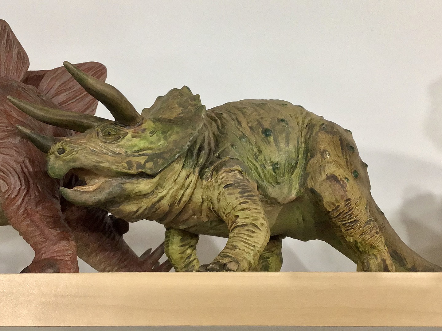 Triceratops Eurycephalus Dinosaur -- Plastic Model Dinosaur Kit -- 1/35 ...