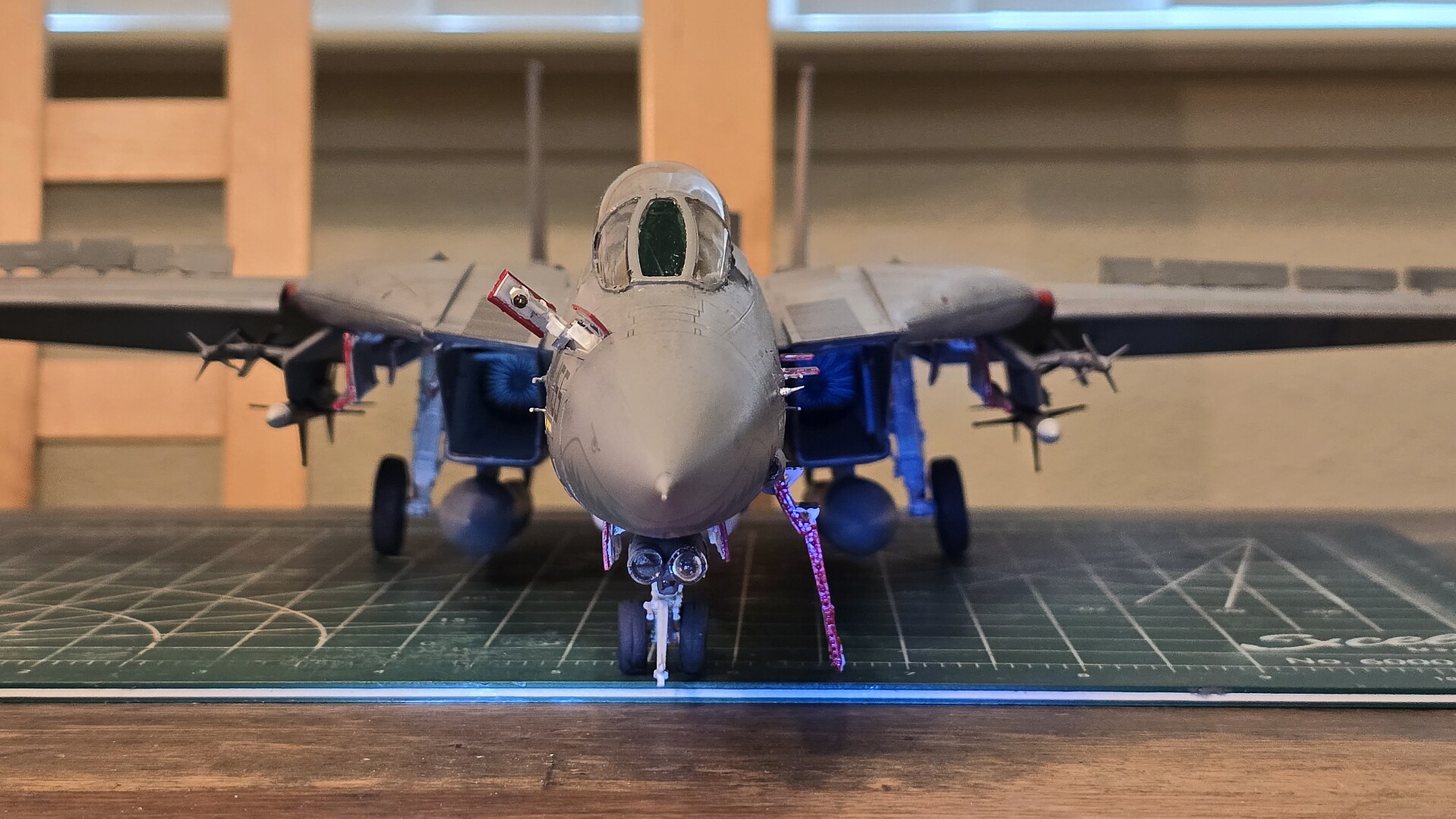 F-14D Super Tomcat Pictures