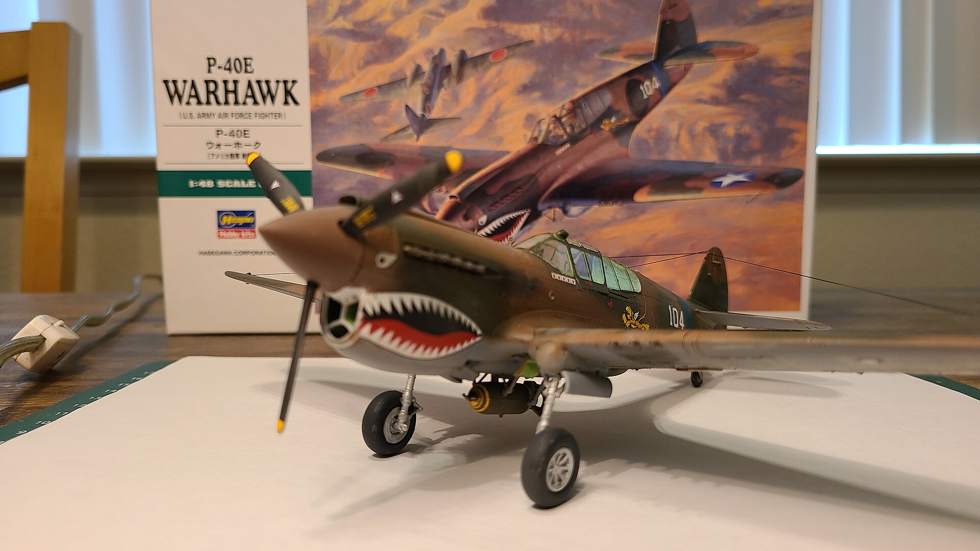 P40E Warhawk US Fighter Pictures