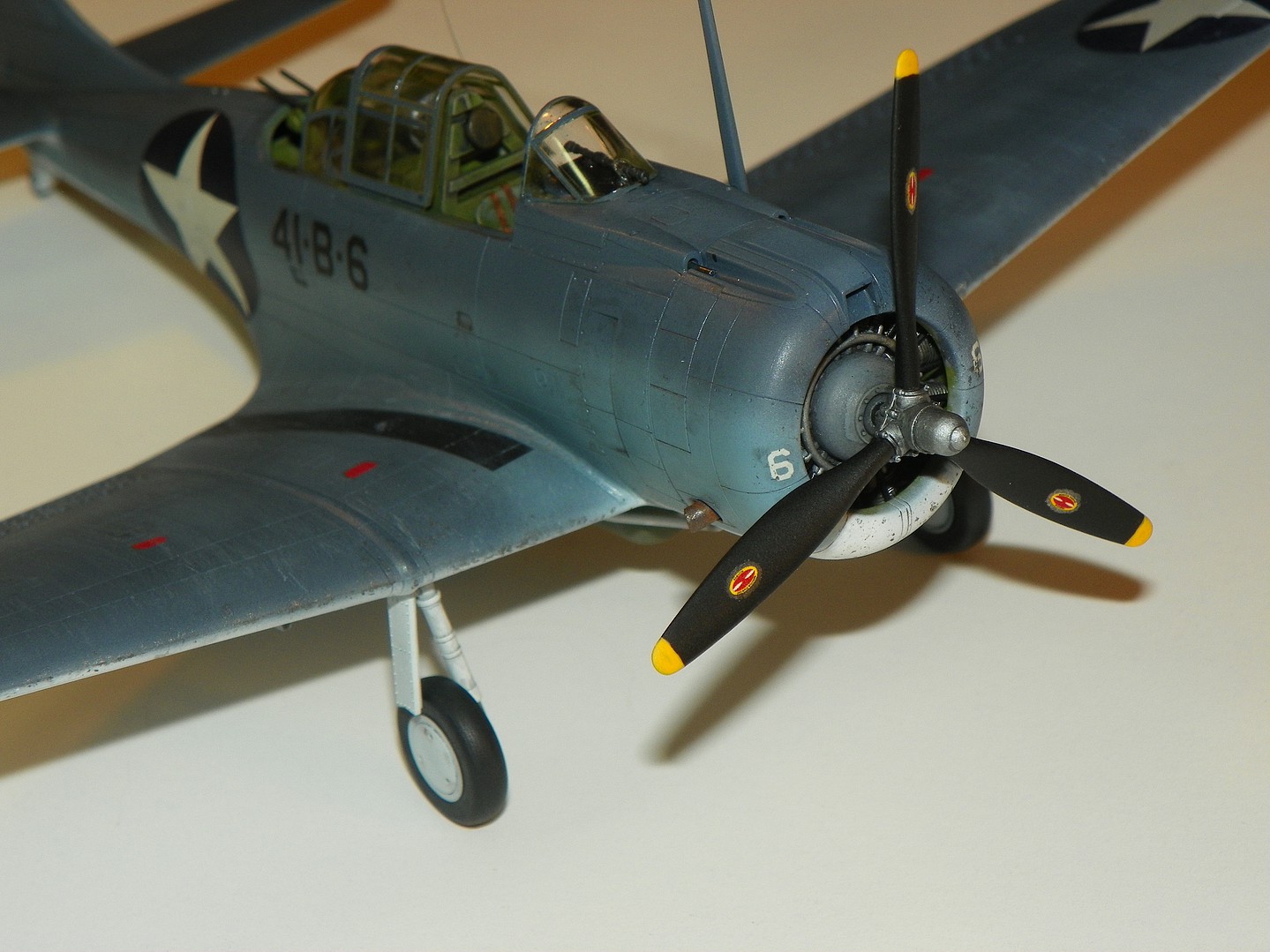 SBD3 Dauntless Aircraft Pictures