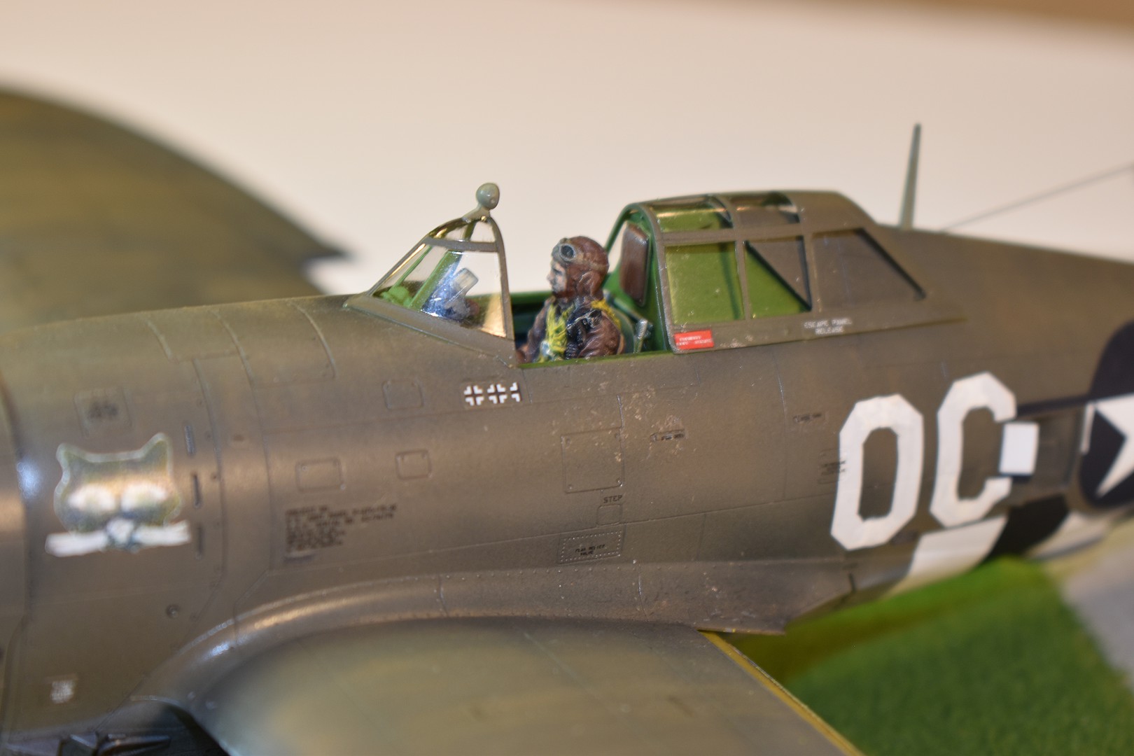 Republic P-47D Thunderbolt Fighter Aircraft -- Plastic Model Airplane ...