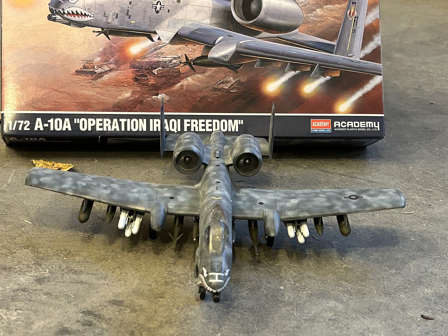 A-10A Plane Operation Iraqi Freedom -- Plastic Model Airplane Kit -- 1/ ...