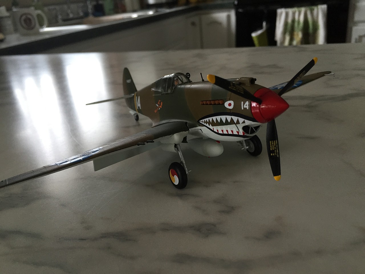 P40B Tiger Shark Aircraft -- Plastic Model Airplane Kit -- 1/48 Scale ...