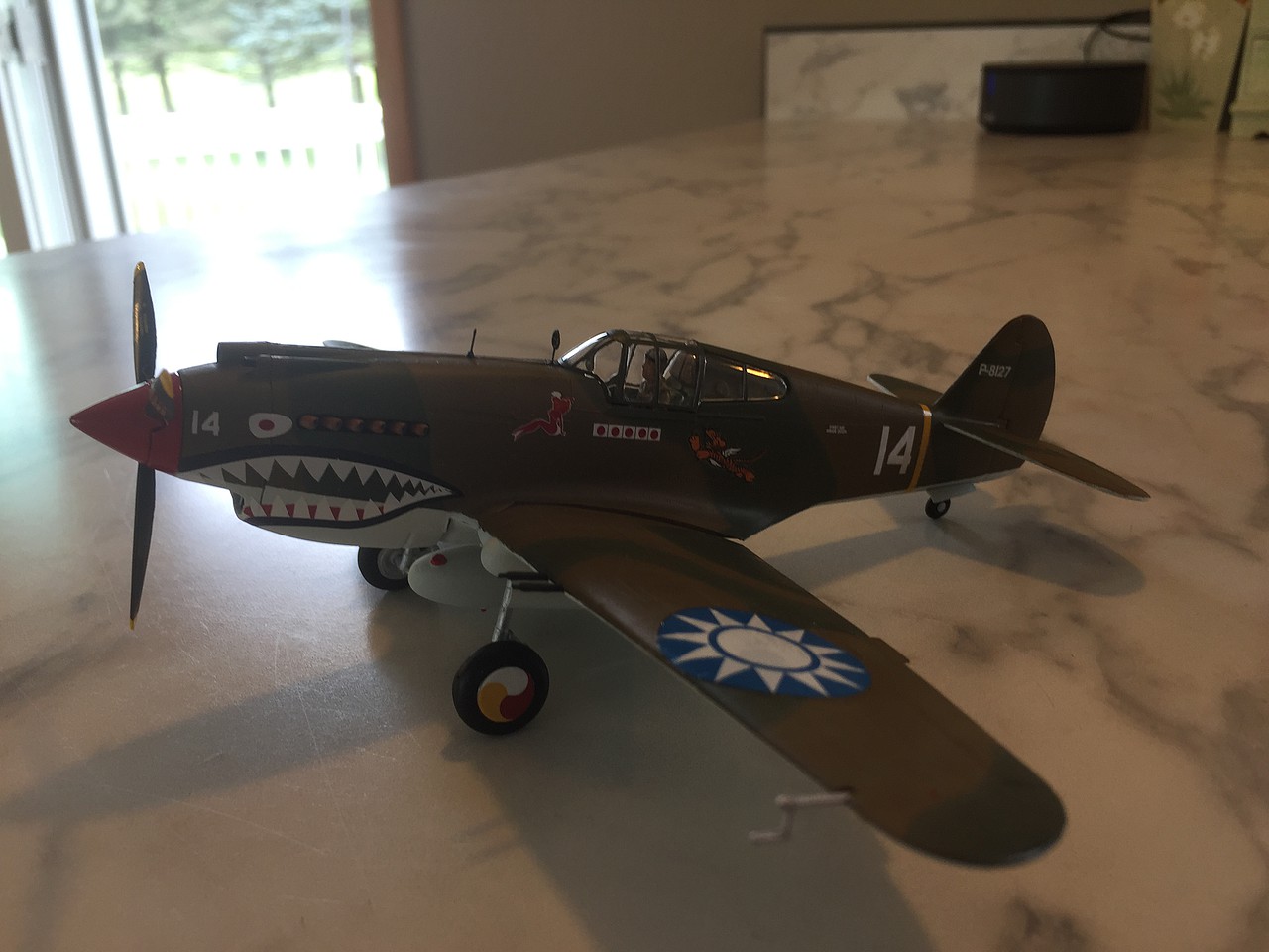 P-40B Tiger Shark Fighter Plane Pictures
