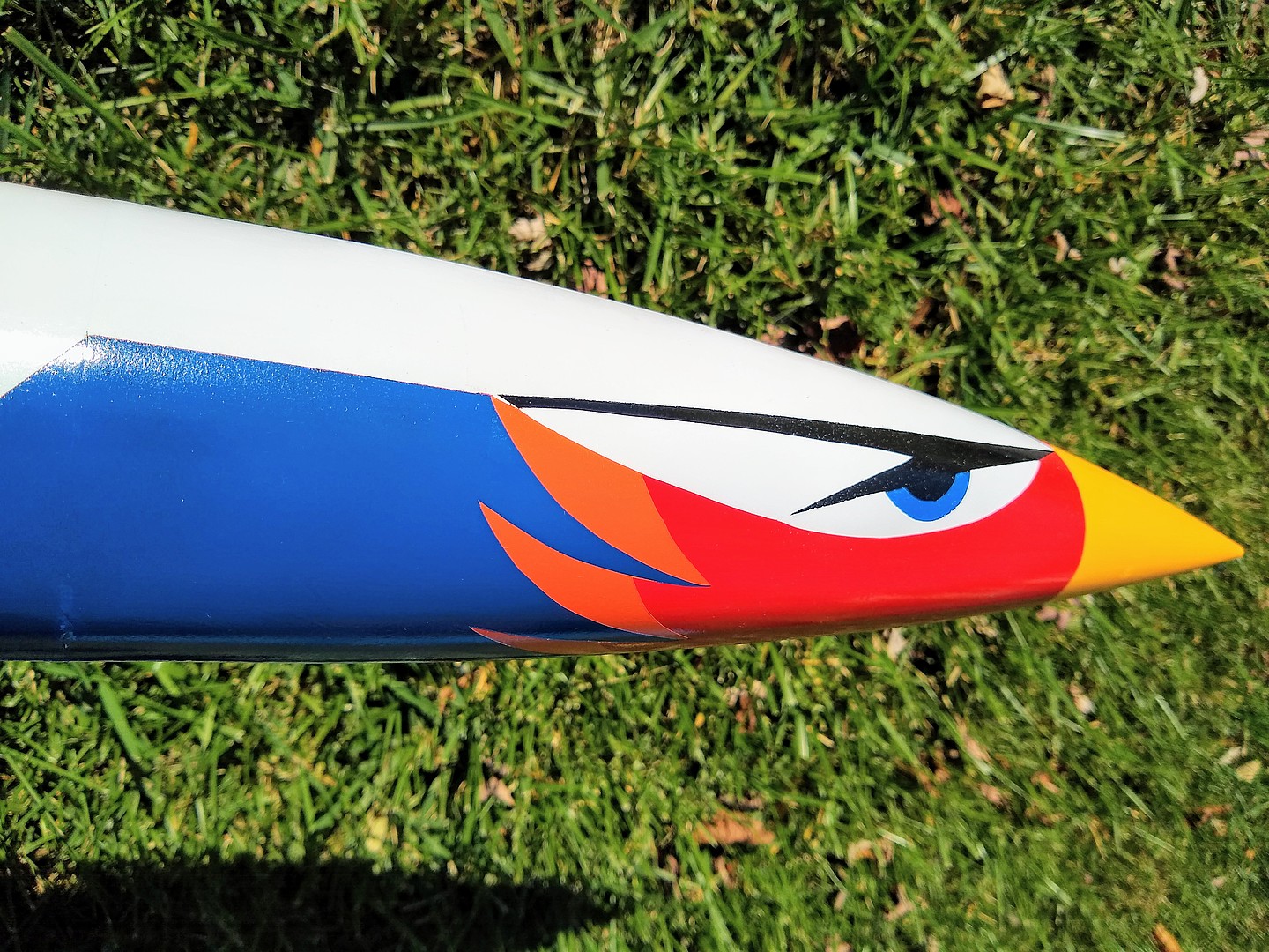 G-Force 5' Rocket pictures by kenliu