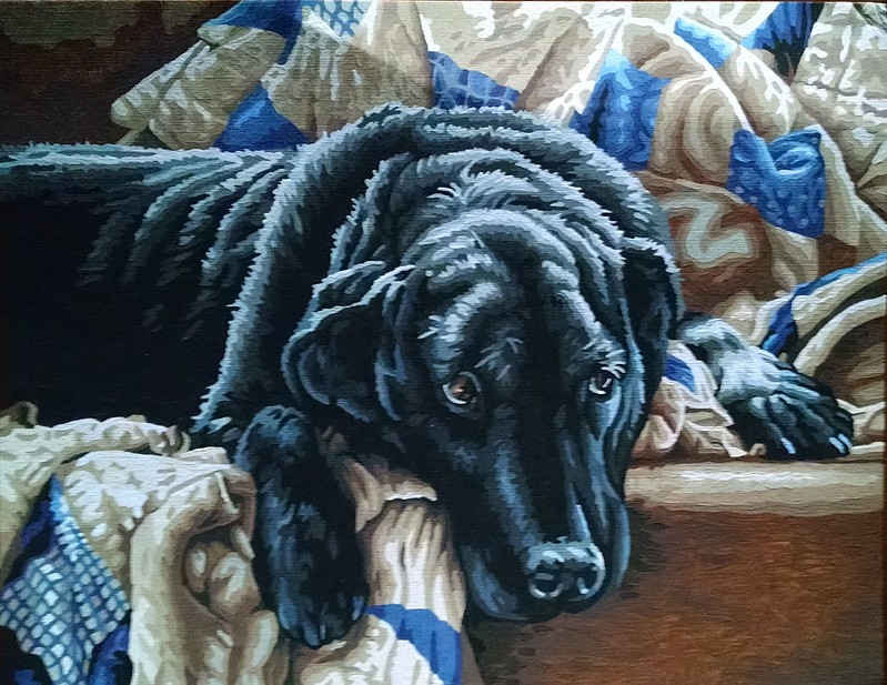 Guilty Pleasures (Black Labrador Lying on Sofa) -- Paint By Number Kit ...