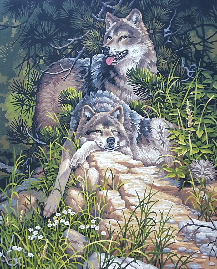 Wild & Free Wolves -- Paint By Number Kit -- #91416 pictures by tcurtis