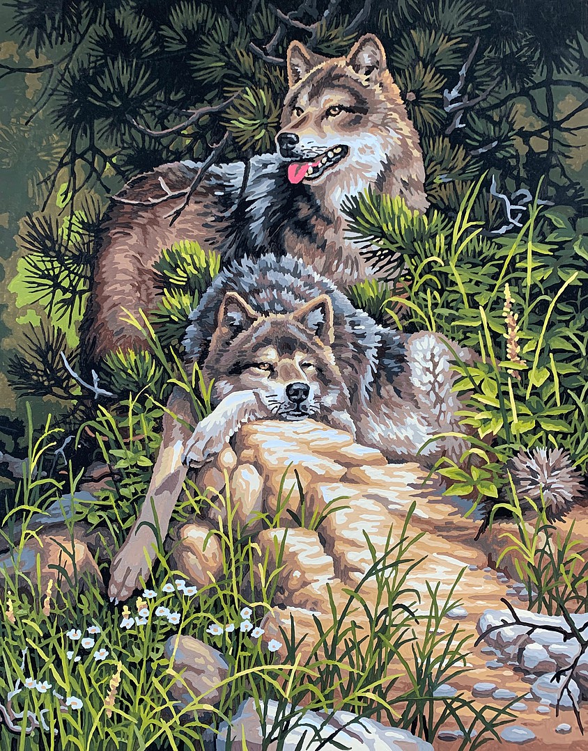 Wild & Free Wolves -- Paint By Number Kit -- #91416 pictures by tcurtis