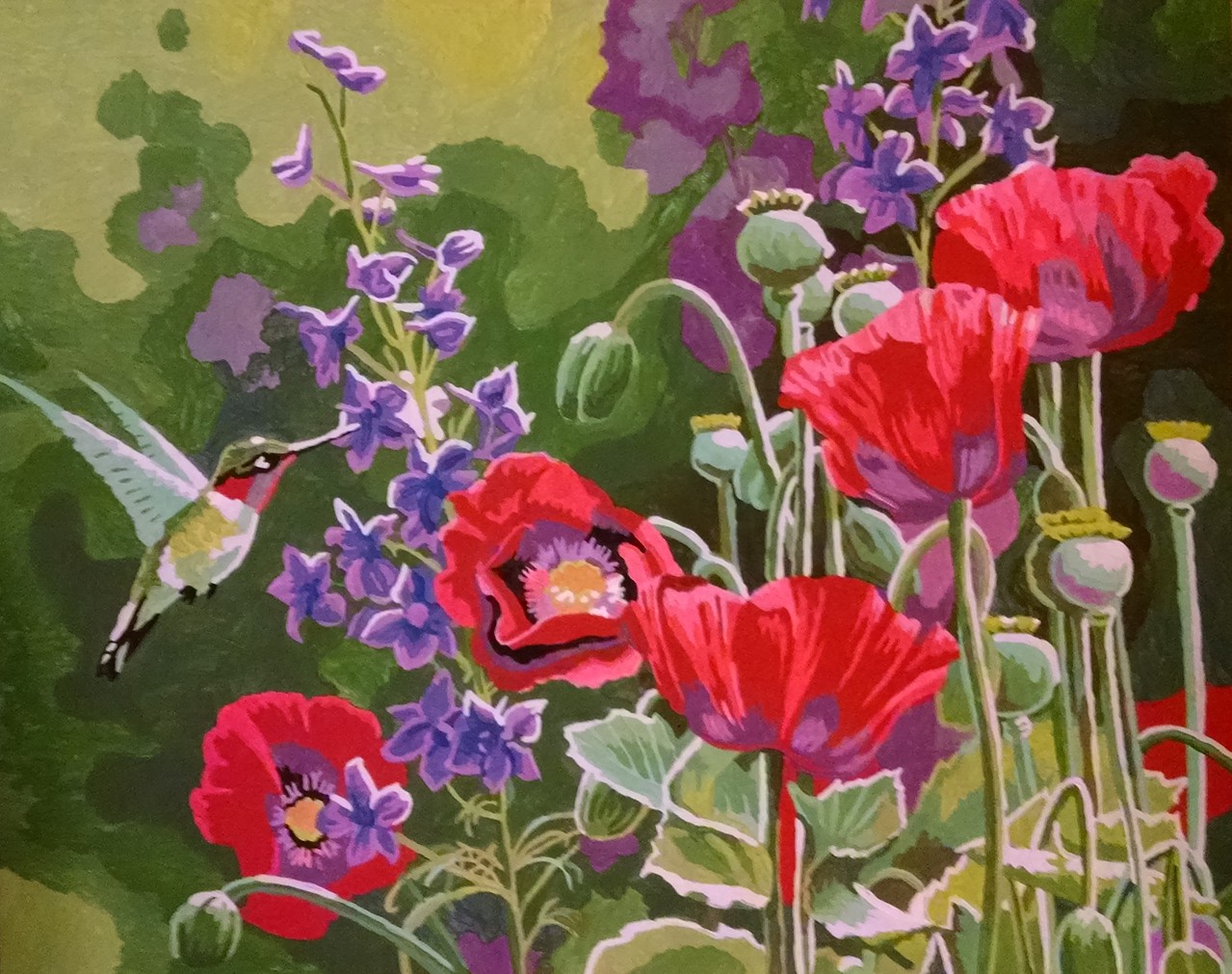 Gallery Pictures Dimensions Hummingbird and Poppies Paint By Number Kit ...