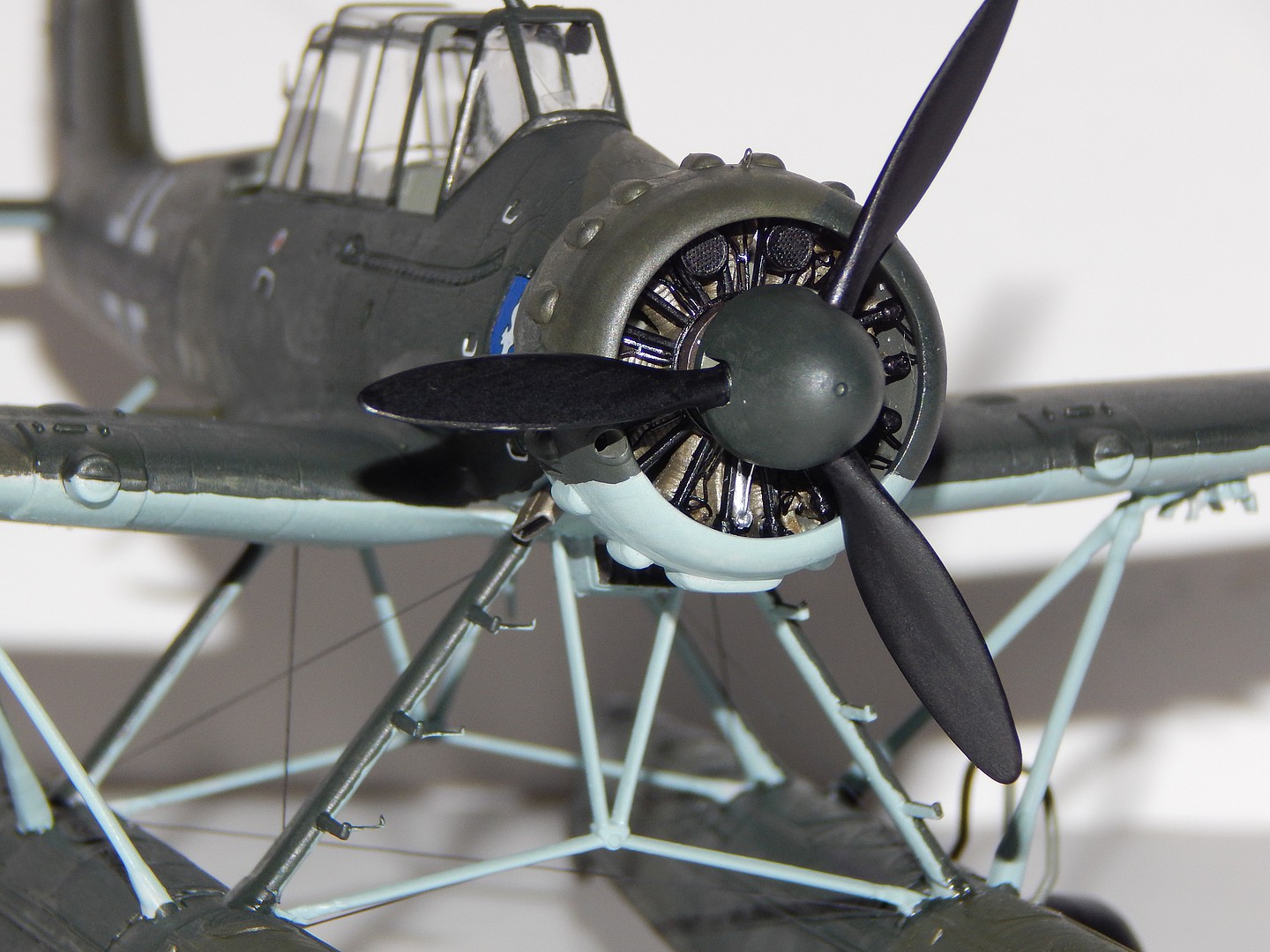 Arado Ar. 196A Plane Aircraft -- Plastic Model Airplane Kit -- 1/48 ...